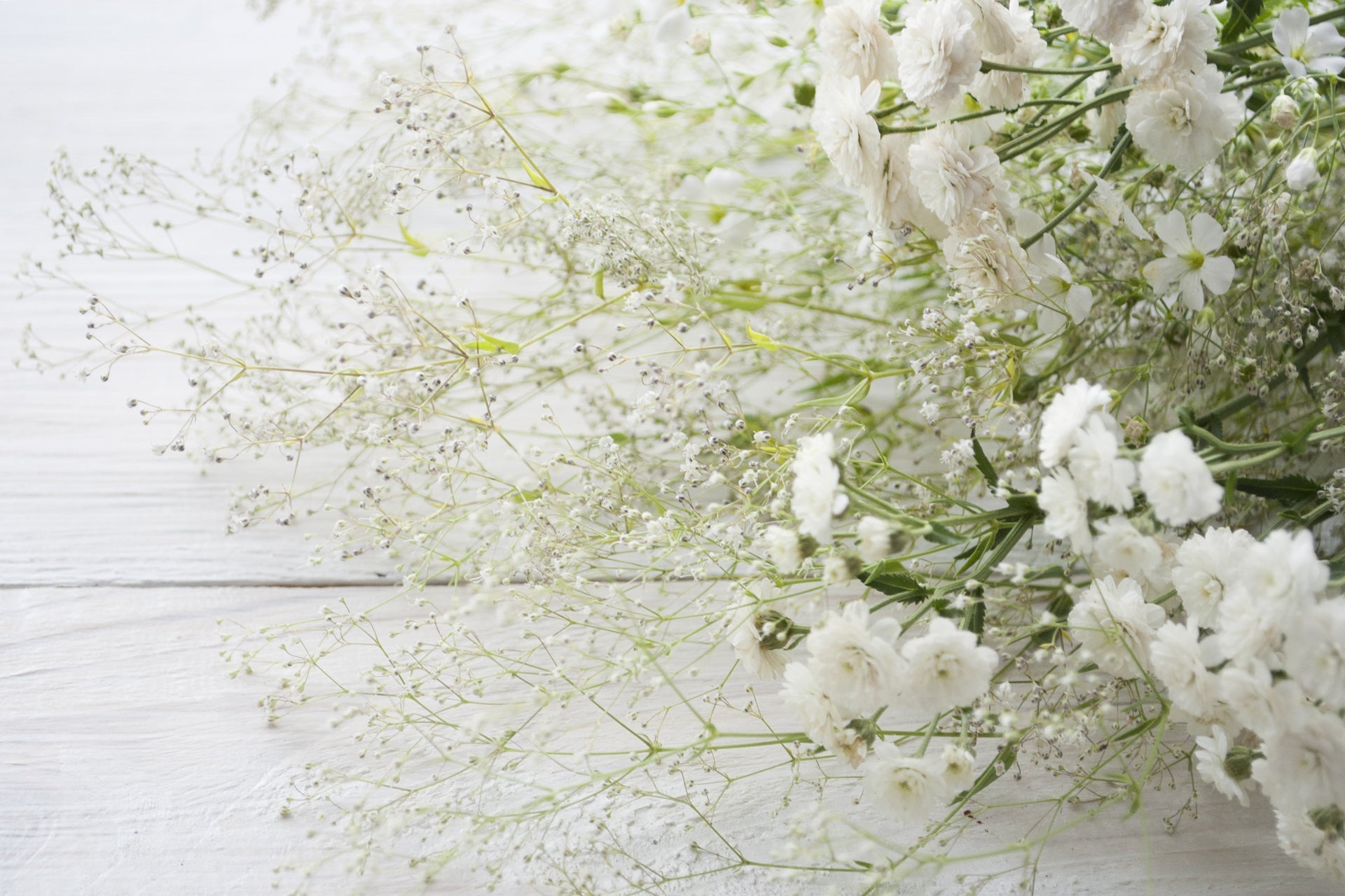 White Flowers flowers in Salt Lake City, UT | Smith's – Local Flower ...